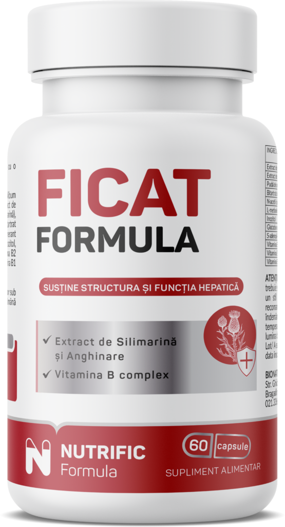 Totul despre steatoza hepatică sau ficatul gras